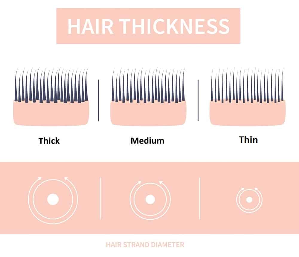 Thick Hair Vs Thin Hair What Are The Differences HairstyleCamp Thick Hair Vs Thin Hair What Are The Differences HairstyleCamp