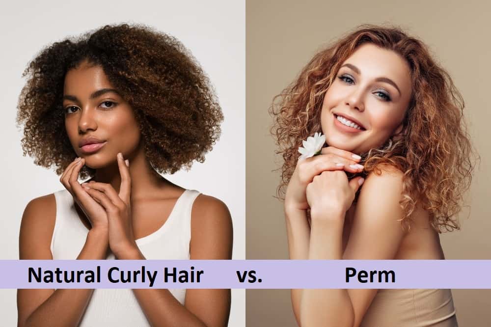 Natural Curls Vs Perm What s The Difference HairstyleCamp Natural Curls Vs Perm What s The Difference HairstyleCamp